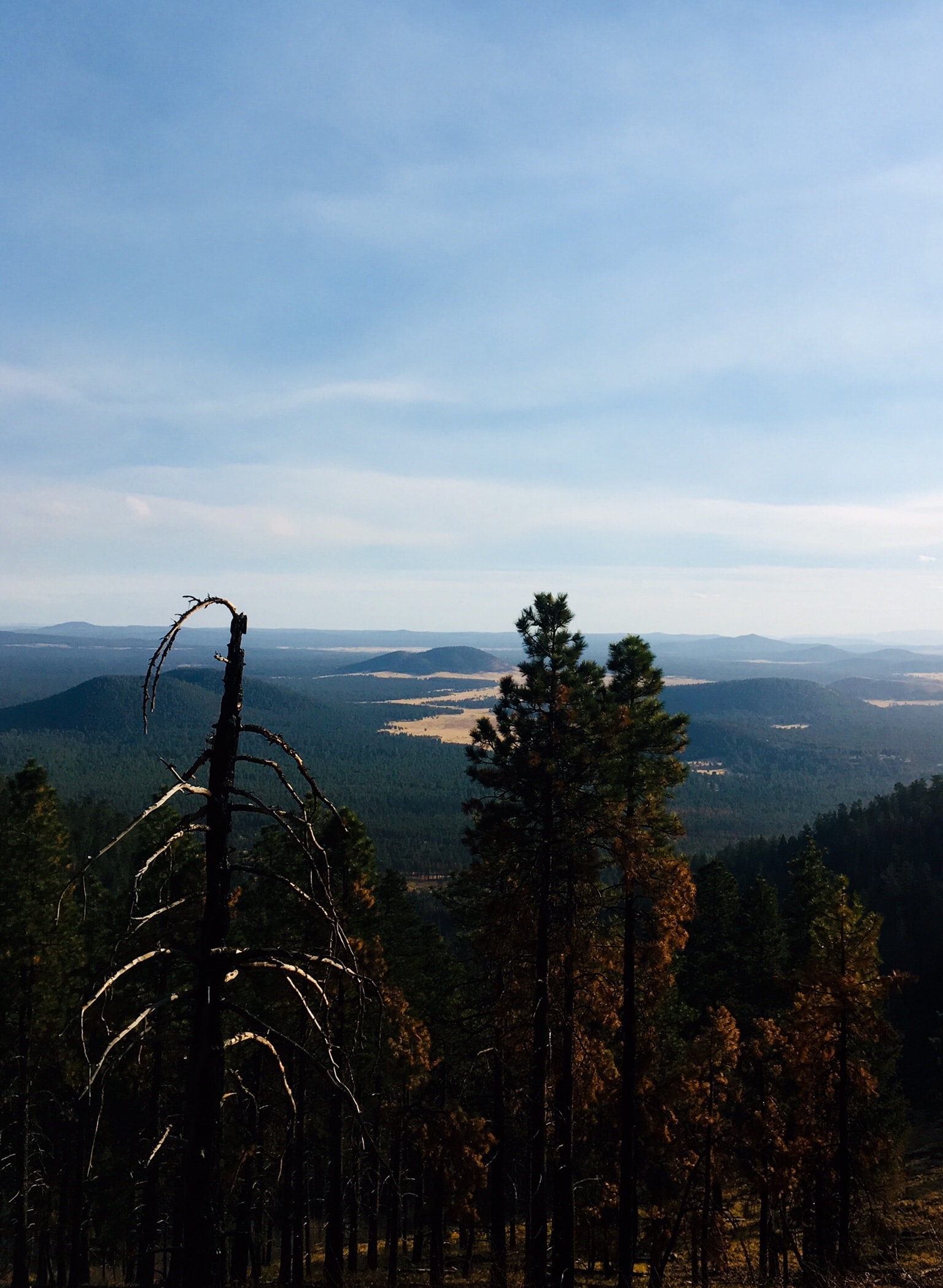 The Top 10 Hiking Trails in Flagstaff, Arizona - Hike The Planet!